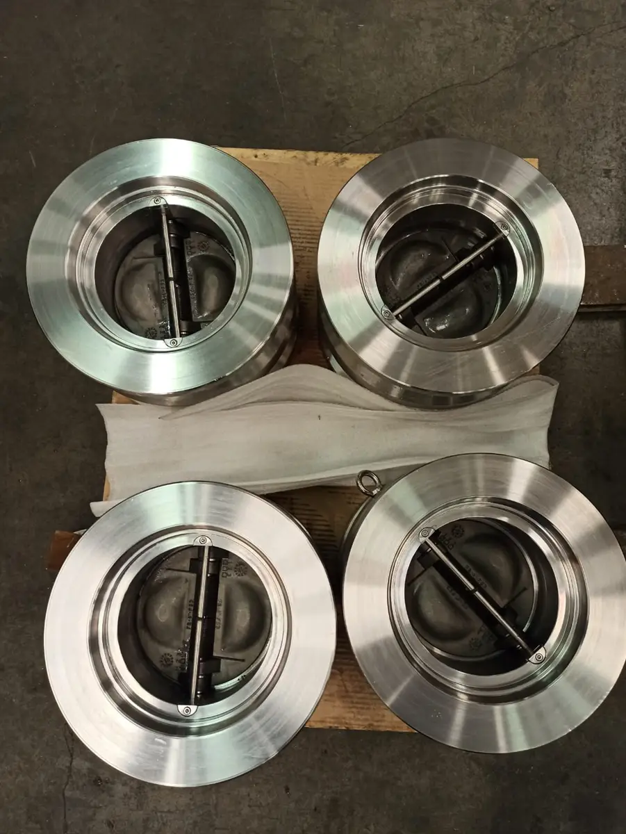 Check valves - Norflo